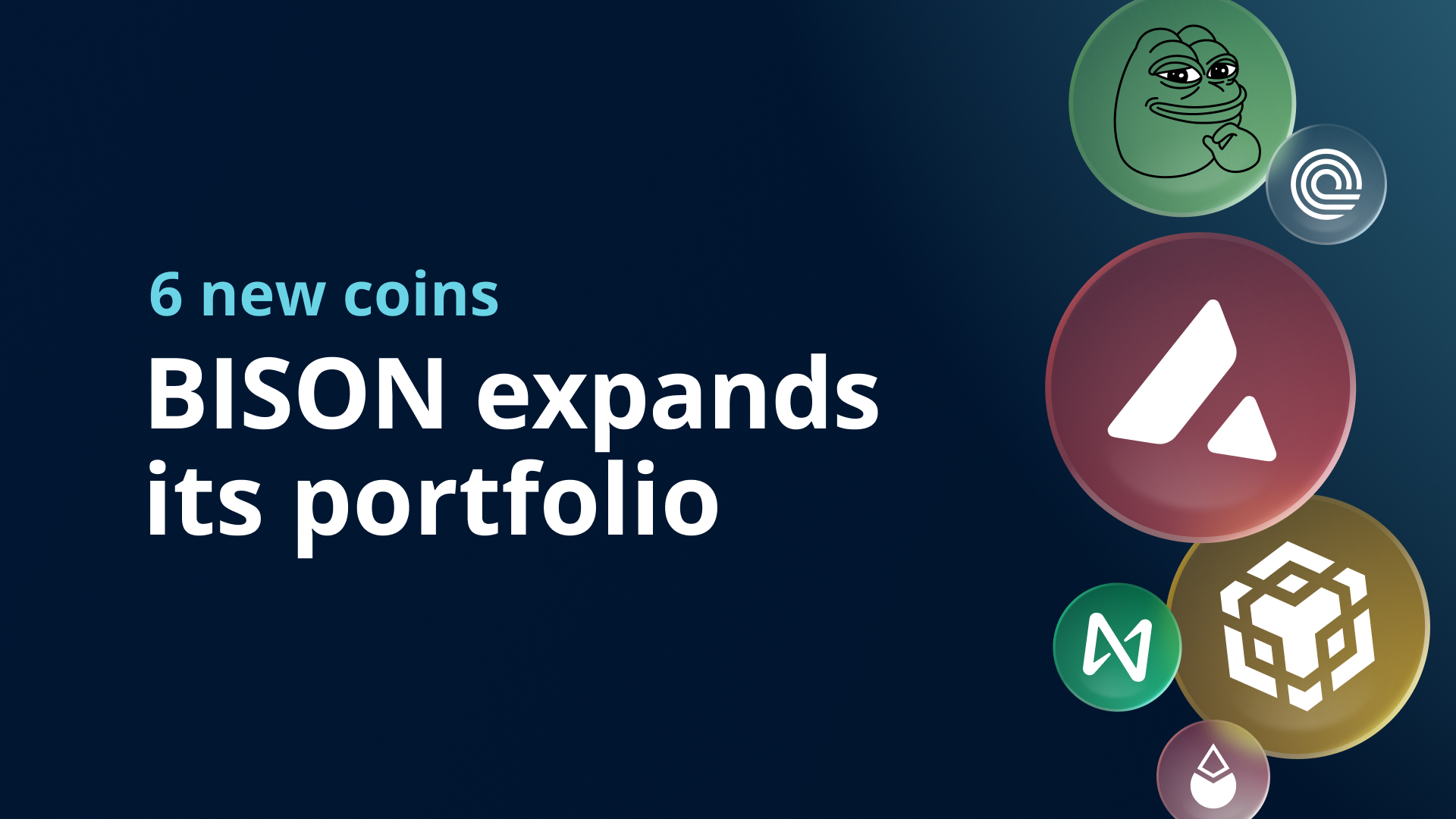 BISON expands portfolio with 6 new coins - BISON App